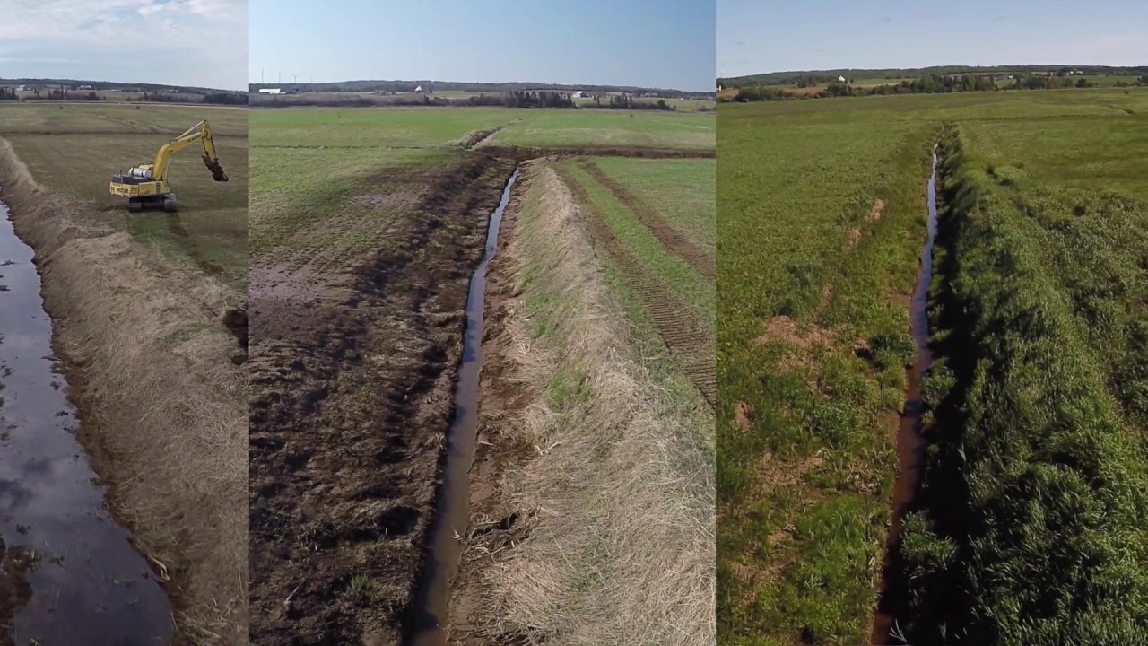 Ditch Maintenance Has Never Been Easier: Before & After - YouTube
