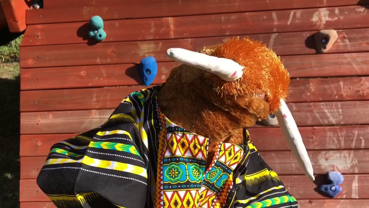 Herpi The Woke Walrus Gives A Tour of His School - YouTube