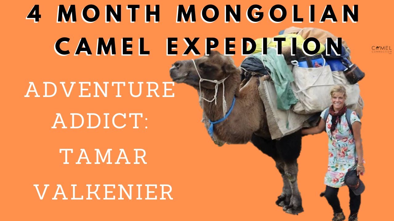 4 Month Mongolian Camel Expedition with Tamra Valkenier (Women Who Work ...