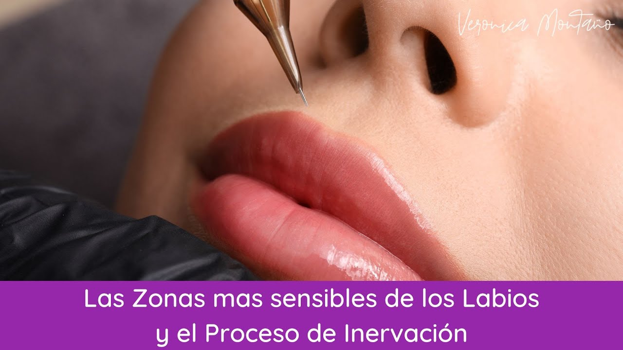Las Zonas más Sensibles de los Labios y el Proceso de Inervación - YouTube