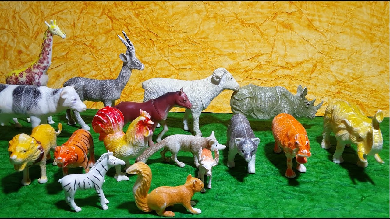 Toy TV - Playing with Toy Animals and Water Animals Learning Names ...