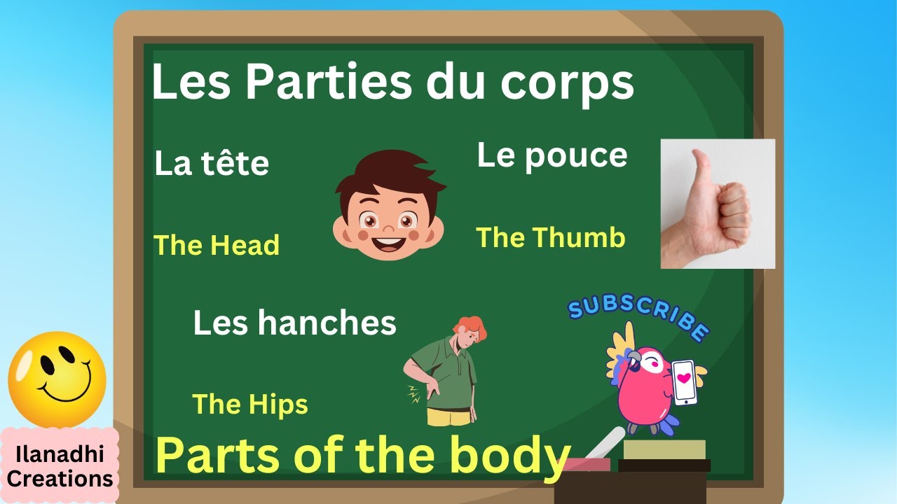 Parts of the body / Les Parties du corps - YouTube