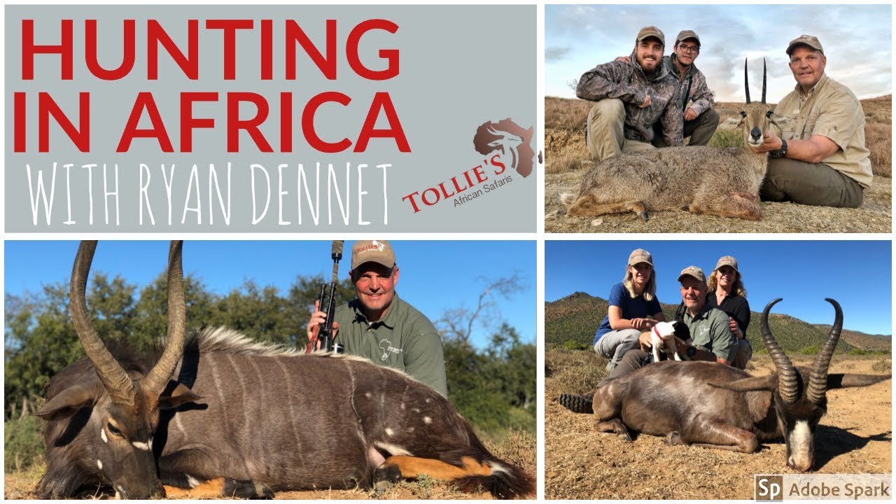Hunting in Africa, Springbuck and Nyala with Ryan Dennet at Tollies ...