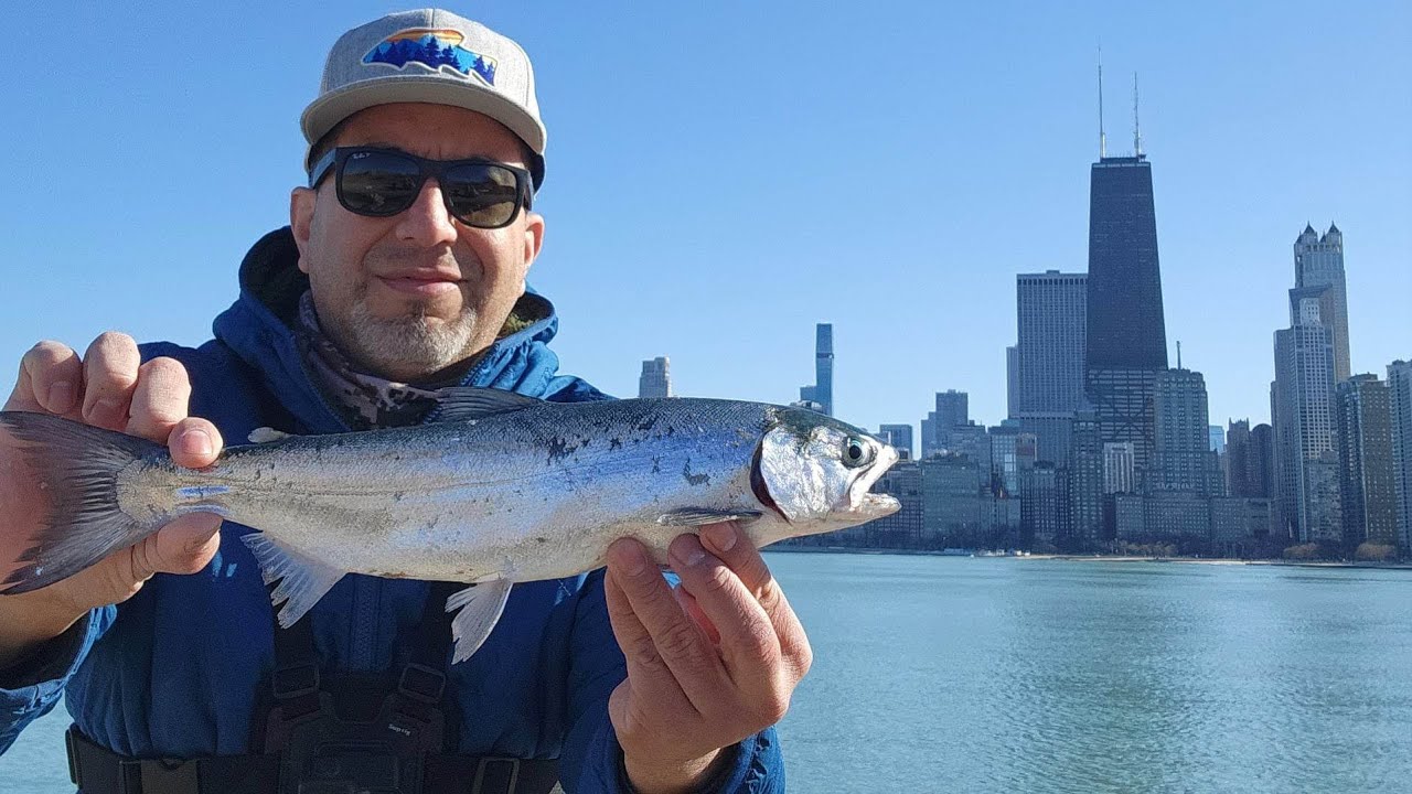 Chicago Fishing Coho Salmon - YouTube