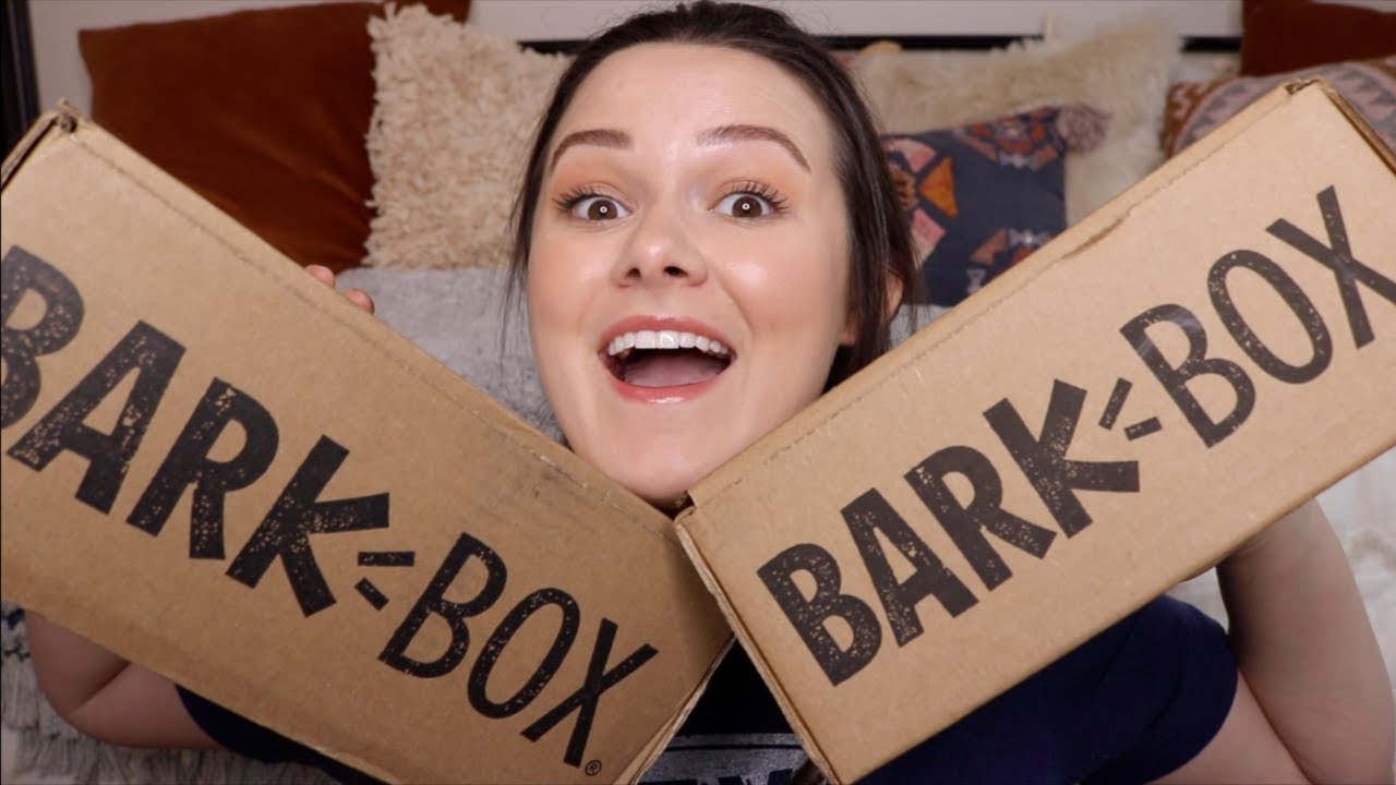 TWO Bark Boxes! | August 2019 - YouTube
