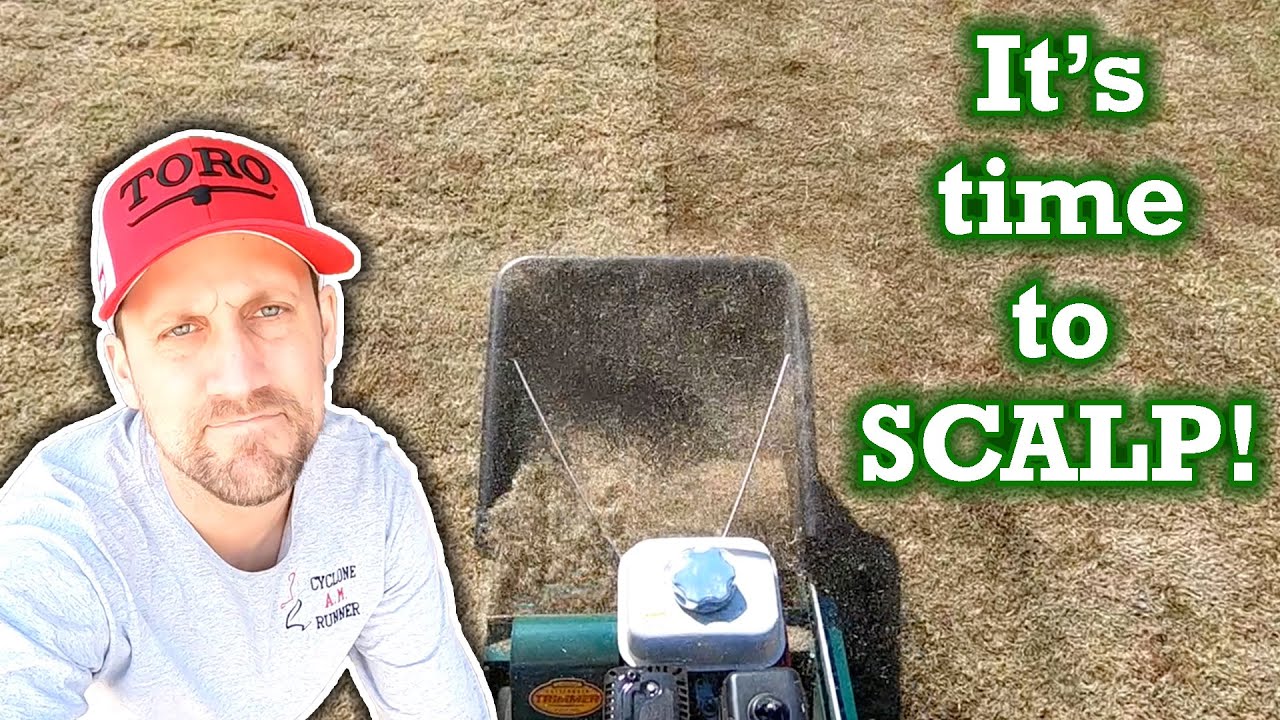 Bermuda Spring Scalp // Spring Scalping Lawn with a Rotary & Reel Mower ...