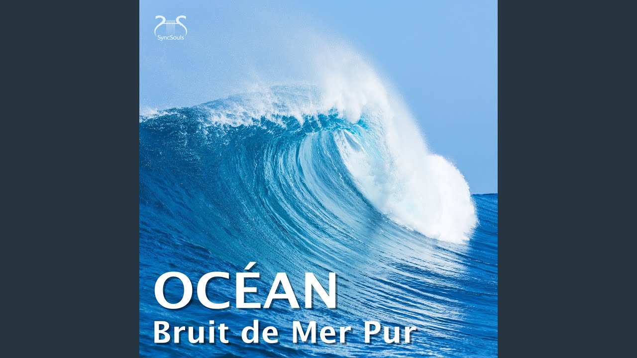 Orage à la mer : ressac de la mer et léger roulement de tonnerre au ...