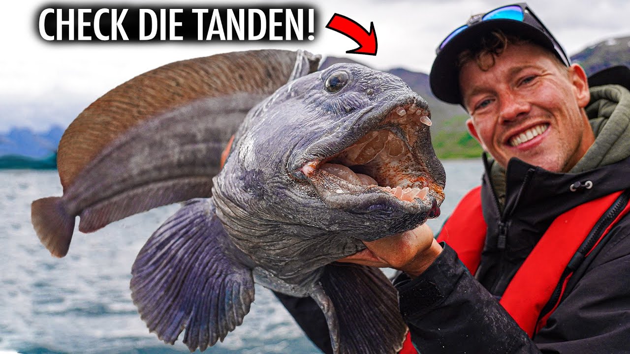 DEZE GEVAARLIJKE VIS PROBEERT MIJ TE BIJTEN😳!! ZEEWOLF vissen in ...