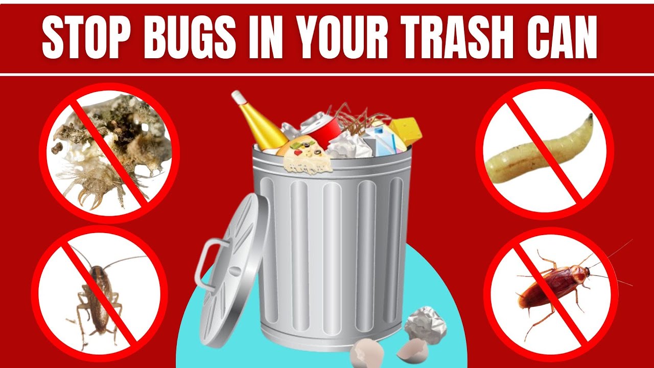 How To Keep Bugs Away From Your Trash Can (This Hack Is Brilliant ...