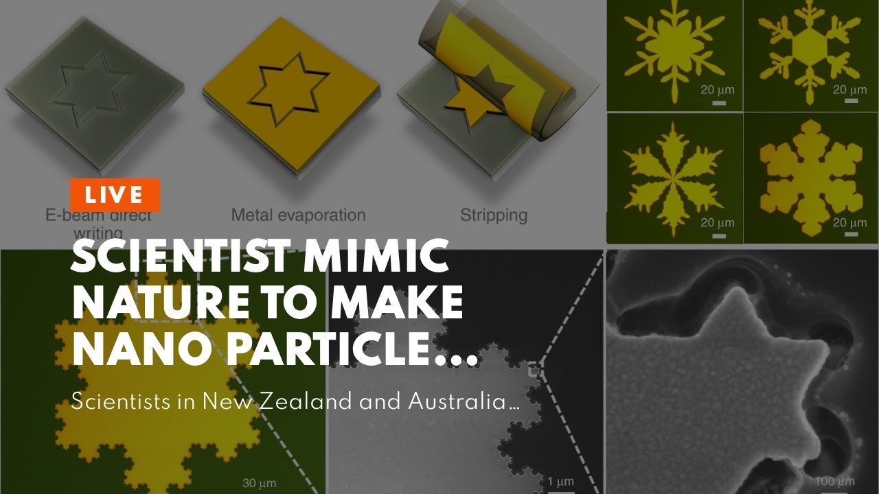 Scientist mimic nature to make nano particle metallic snowflakes - YouTube