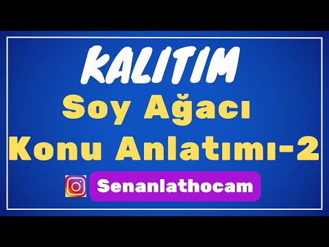 KALITIM KONU ANLATIMI 10  | SOY AĞACI KONU ANLATIMI 2 |10. SINIF | TYT - AYT BİYOLOJİ | ✅
