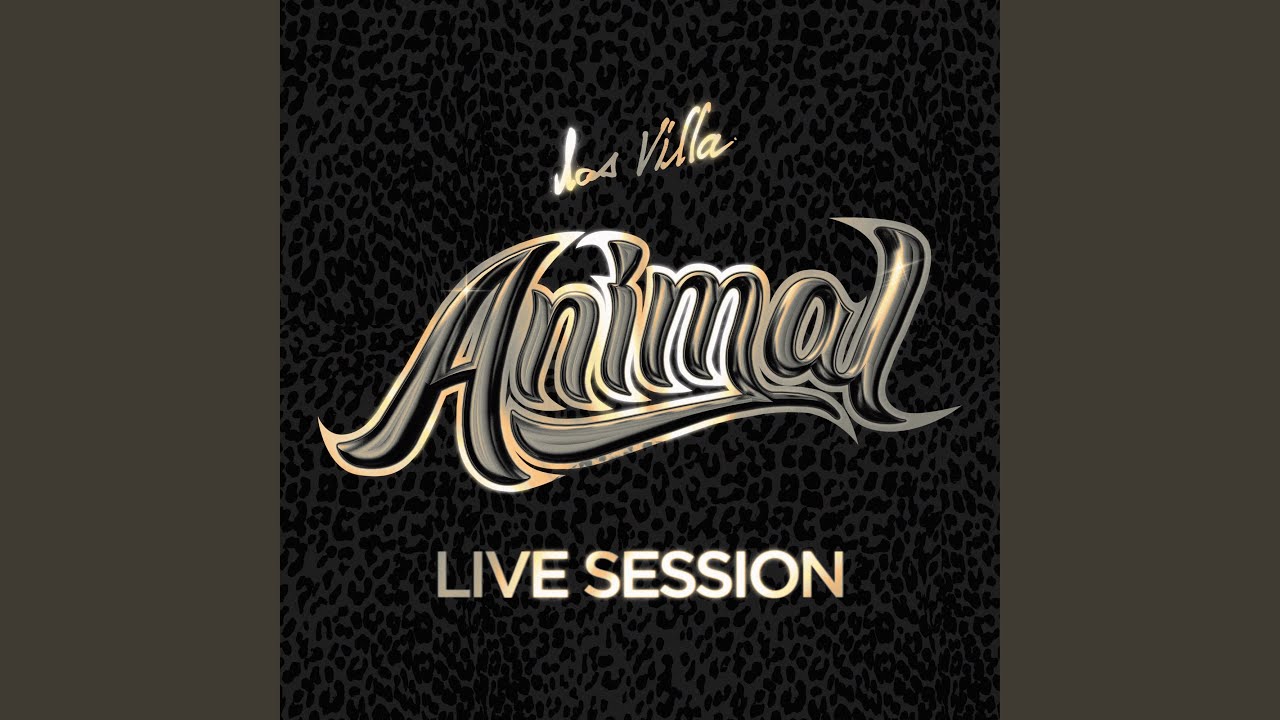 Animal (Live Session) - YouTube