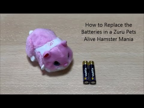 How to Replace the Batteries in a Zuru Pets Alive Hamster Mania - YouTube