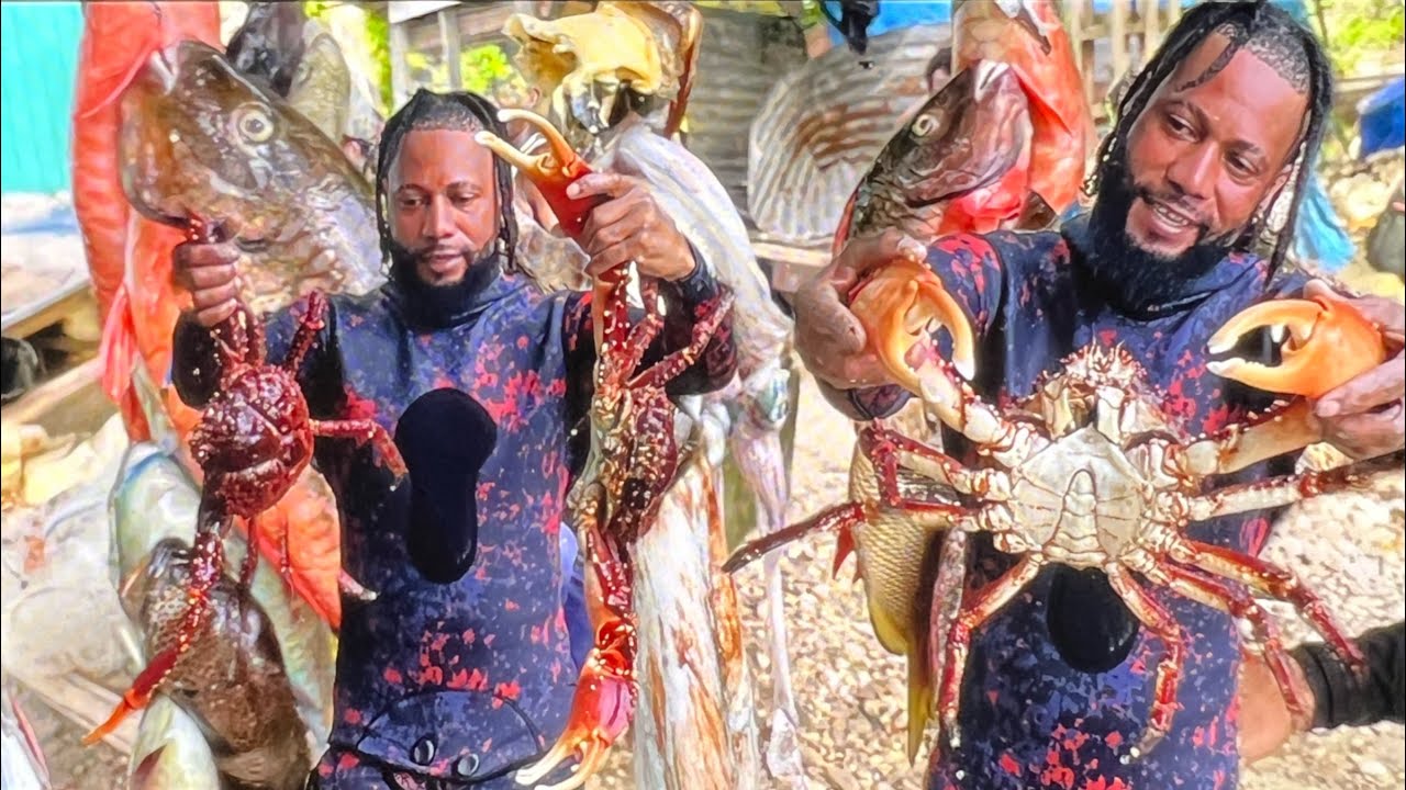 FREE DIVE FISHERMAN FROM THE CARIBBEAN - YouTube