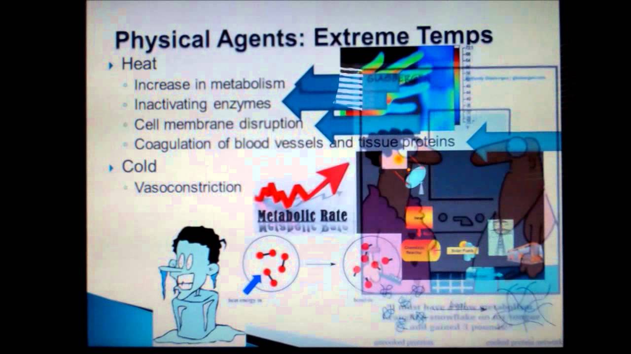 Lecture 3 Mechanisms of Cell Injury Physical Agents Mod 1 - YouTube