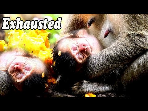 NEWBORN BABY DASHA DOESN'T WANT TO TALK TO HER MOM, BABY JUST ONE DAY OLD...