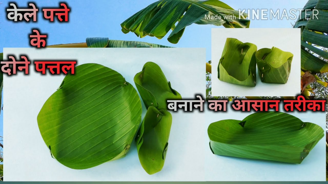 केले पत्ते से दोना पत्तल। banana leaf cup plate।banana leaf art। leaf ...