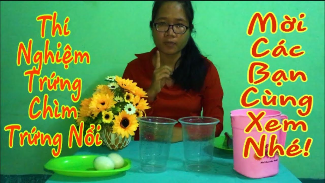 Thí Nghiệm Trứng Chìm Trứng Nổi Bích Nhiên Official Youtube