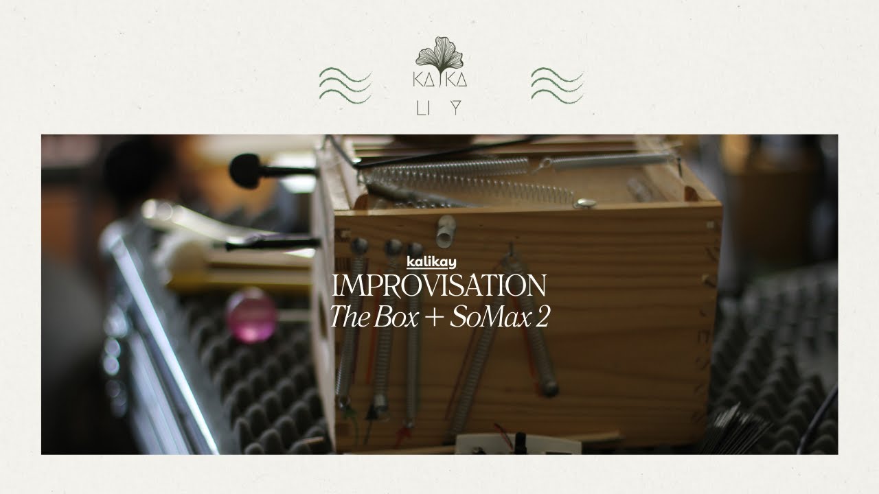 The Box & SoMax2 #somax #ircam @ErcReach - YouTube
