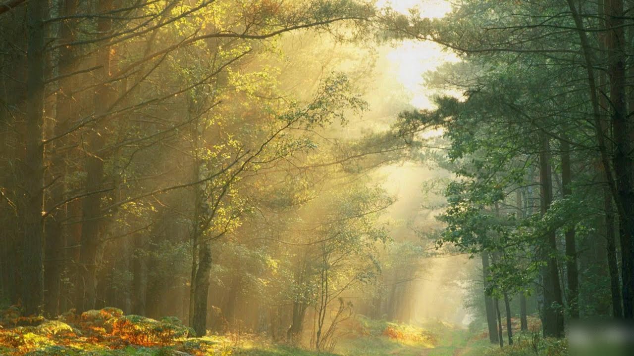 Progressieve Relaxatie - Ontspanningsoefeningen - YouTube