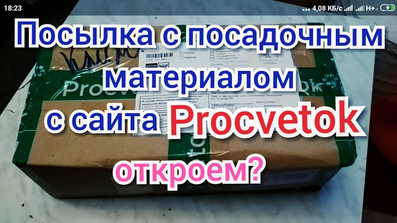 Стрим. Посылка с сайта Procvetok. Дубль 2. - YouTube