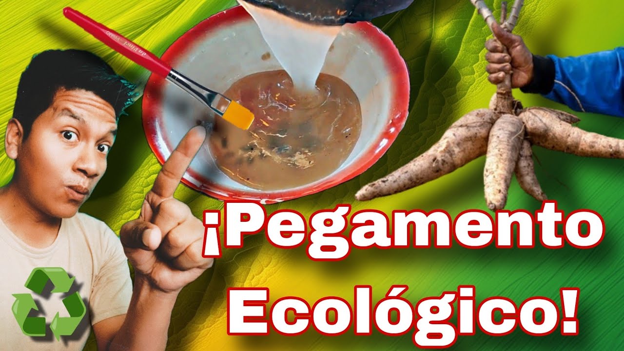 ¡Pegamento Natural con Yuca, Mandioca y Guacamote! 🌱 - YouTube