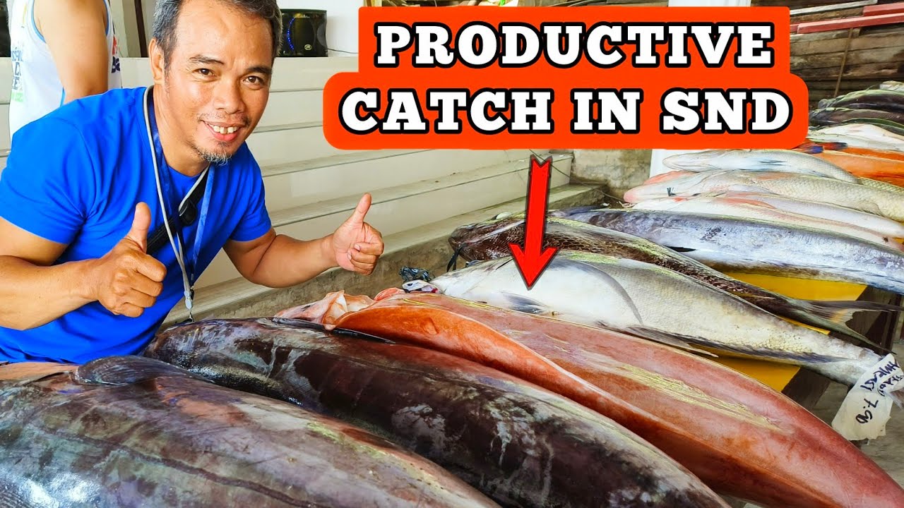 PRODUCTIVE FISHING TOURNAMENT IN SULTAN NAGA DIMAPORO | Late Upload ...