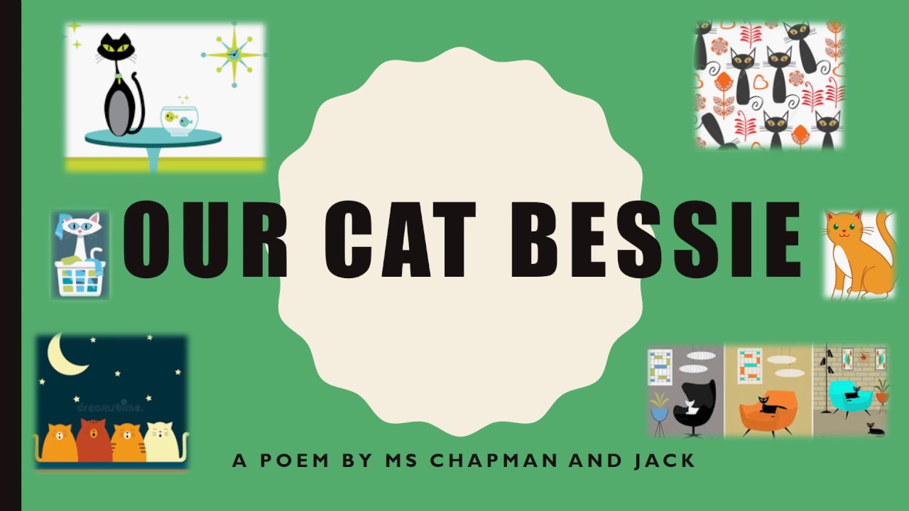 Our Cat Bessie - YouTube