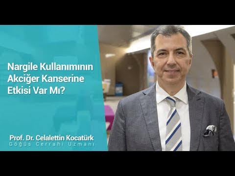 Nargile Kullanımının Akciğer Kanserine Etkisi Var Mı?