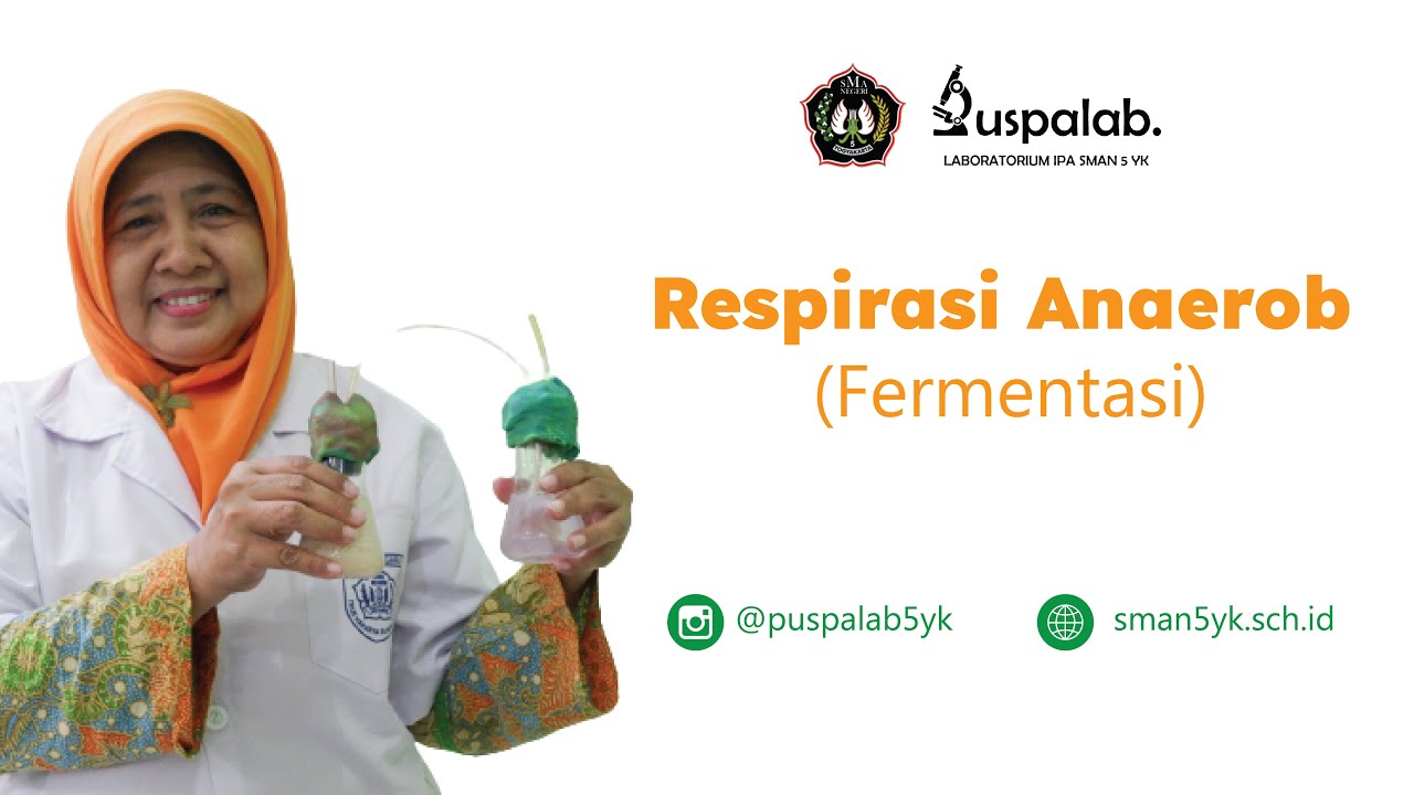 Praktikum Biologi SMA : Respirasi Anaerob (Fermentasi) - YouTube