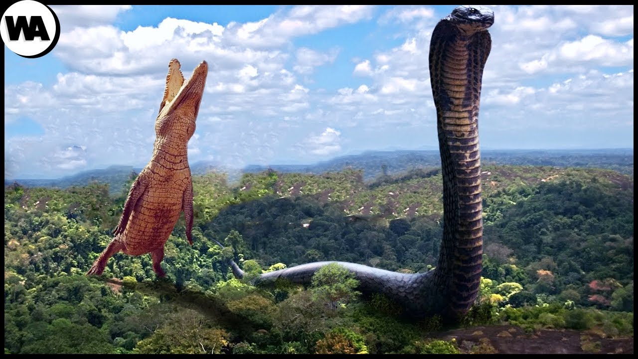Há 58 Milhões de Anos, a Titanoboa Perdeu a Guerra pro Crocodilo ...