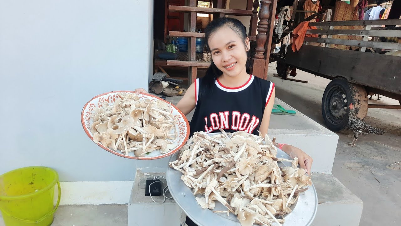 Laogirl cooking termite mushrooms for dinner แกงเห็ดปลวก - YouTube