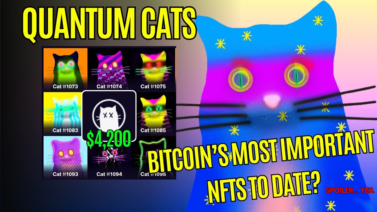 Quantum Cats 0.1 $BTC Sale Today | Pudgy Penguins Price Crashing | Solana Defi Flips Uniswap ...
