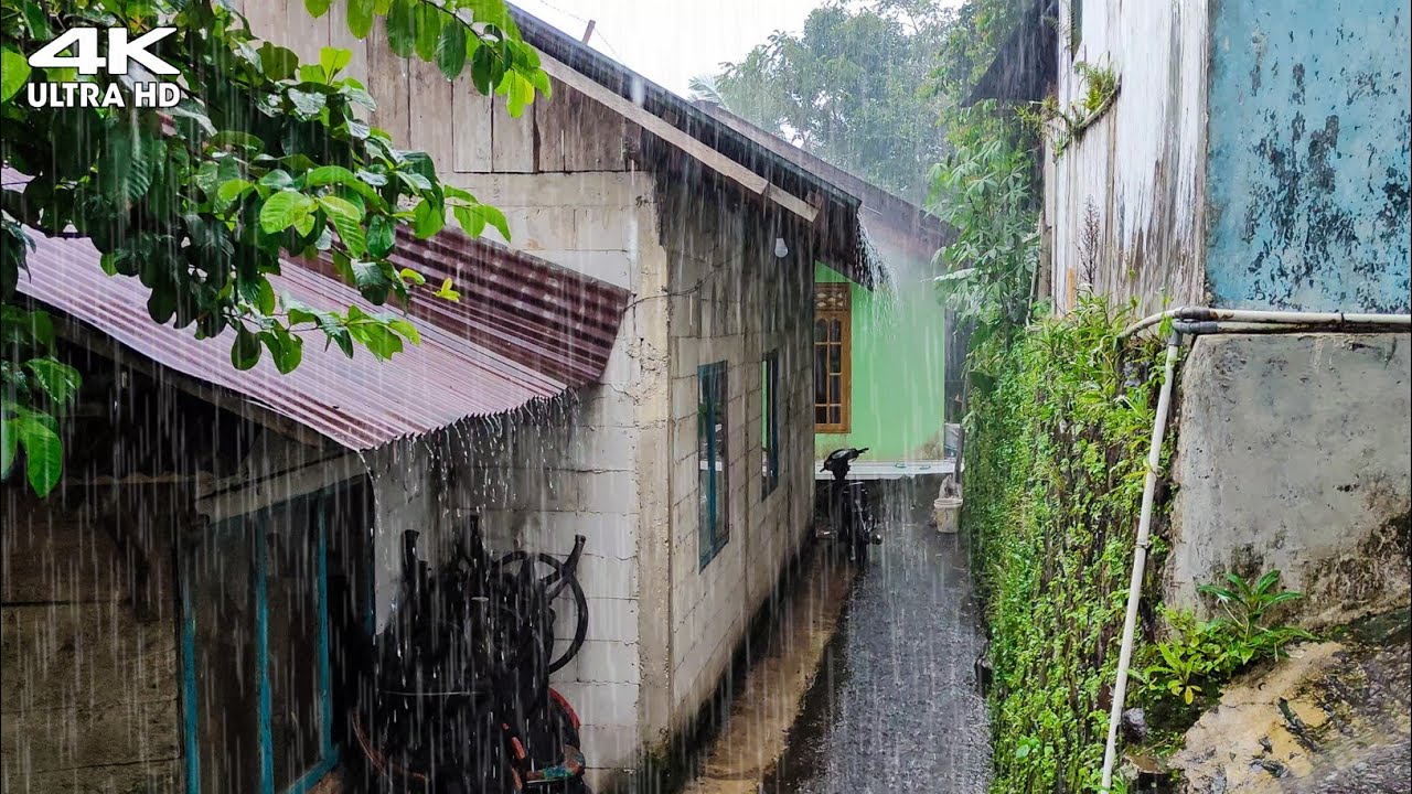 Heavy rain never stops in beautiful and green village, walking in the ...