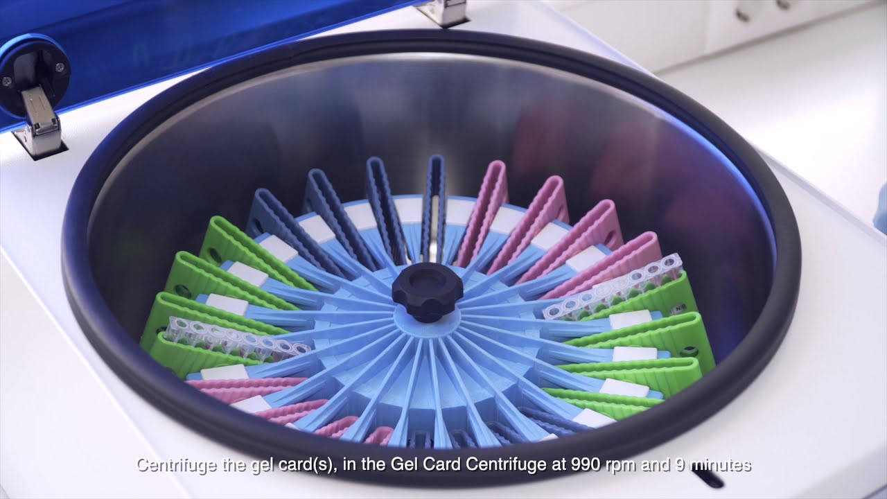 TG102 TEST IT GEL - ( ABO2D & REVERSE ) Blood Grouping Gel Card Test ...