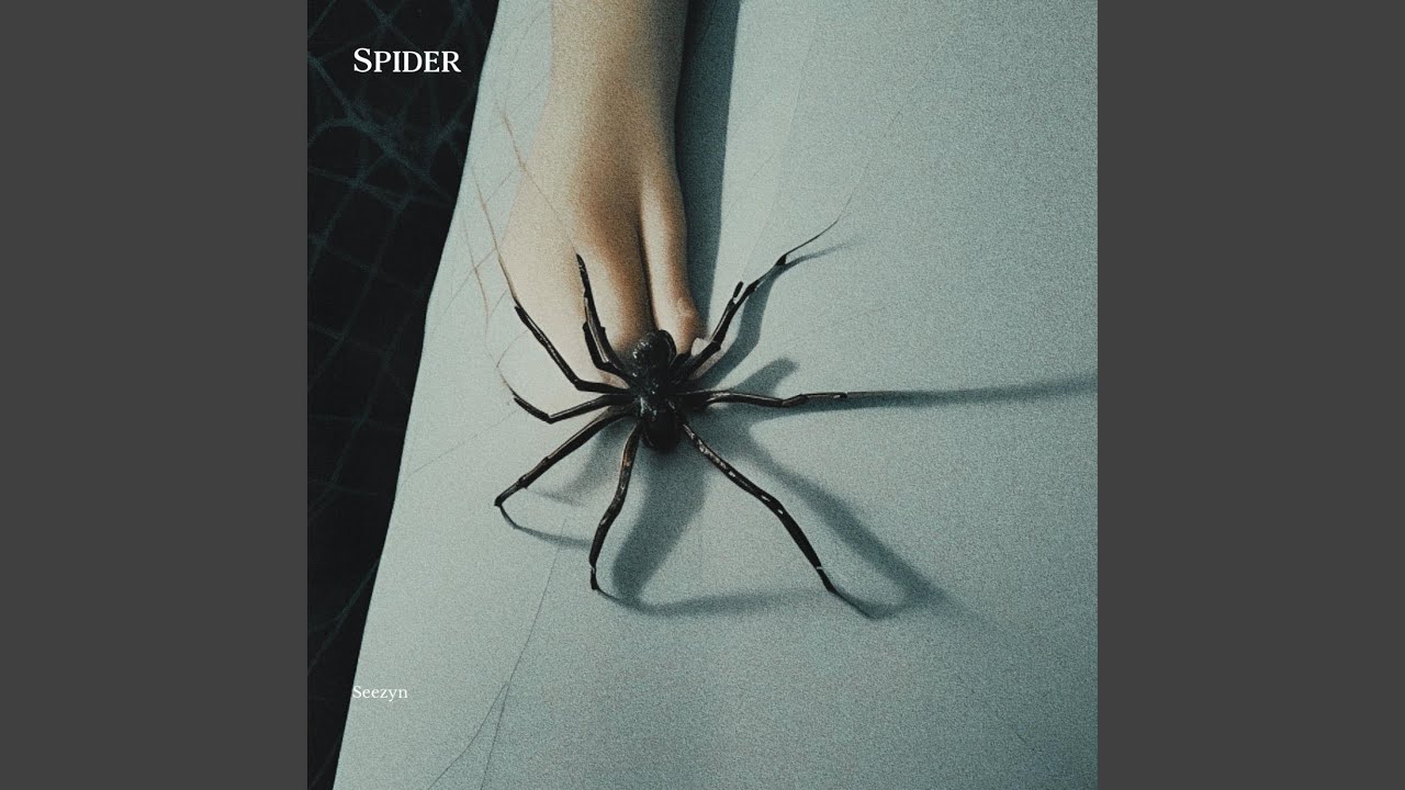 Spider - YouTube