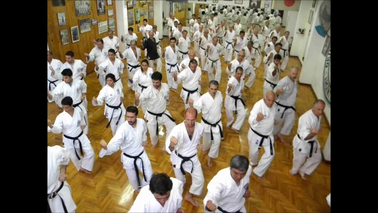 Nuestros katas Shin Shu Kan 3° parte - YouTube
