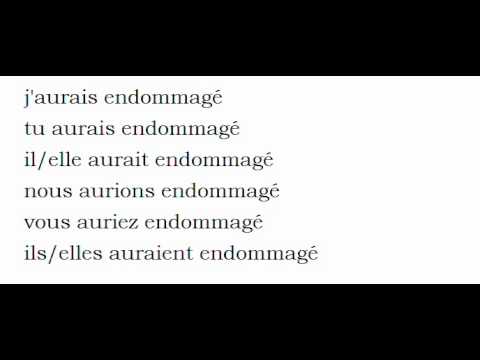 Conjugaison visuelle # Verbe = Endommager = - YouTube