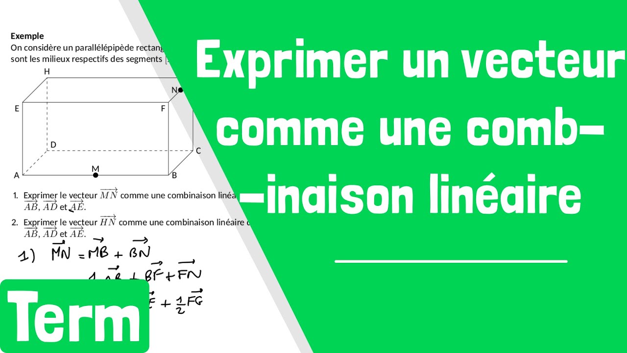 Comment exprimer un vecteur comme une combinaison linéaire d'autres ...