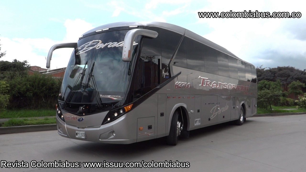 Transoriente - Servicio Línea Dorada - YouTube