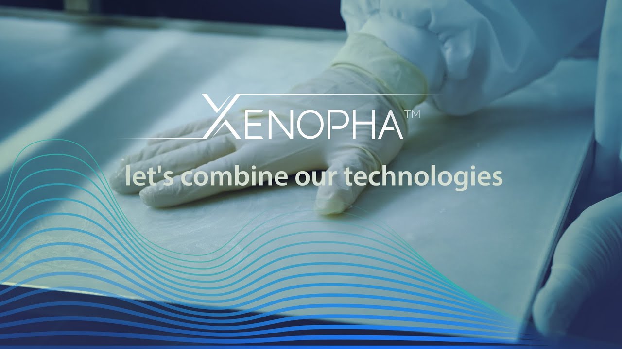 Apha Biomat and Meccellis Biotech at the forefront of tissular ...