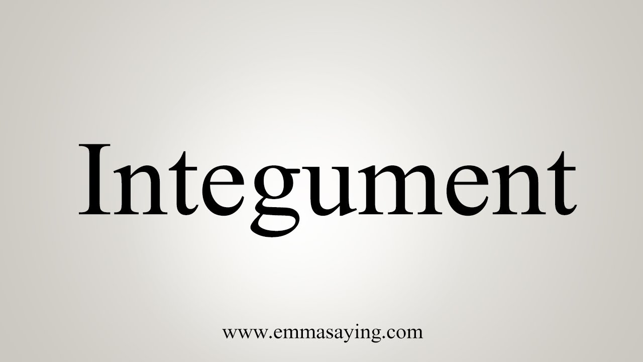 How To Say Integument - YouTube