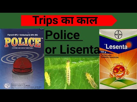 Police Insecticide , Fipronil, Lisenta Bayer, insecticide, imidacloprid ...