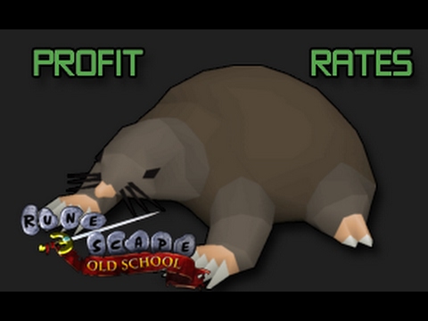 OSRS - Giant Mole Profit & Basic Setup Guide - YouTube