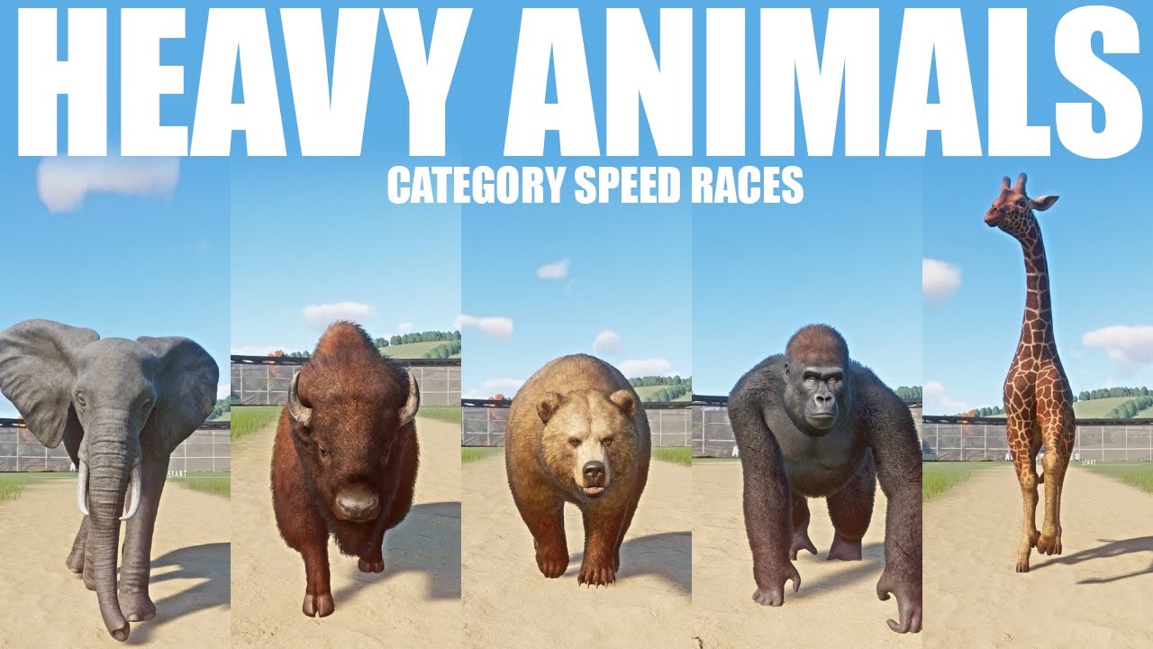 Heavy Animals Category Races in Planet Zoo included Bison, Bear ...