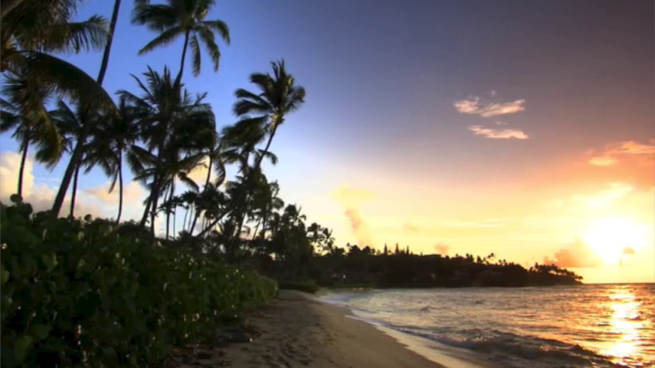 la marisque - YouTube