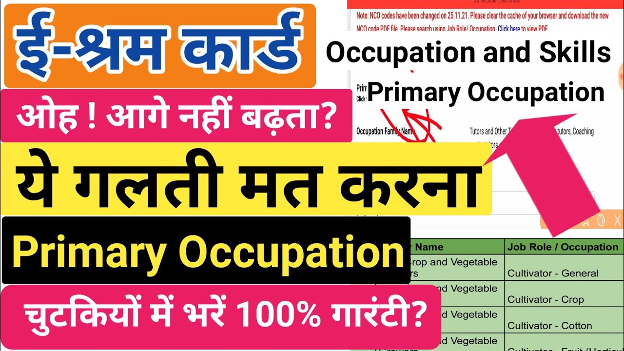 e-shram Card:Primary Occupation and Secondary Occupation Kaise Bhara ...