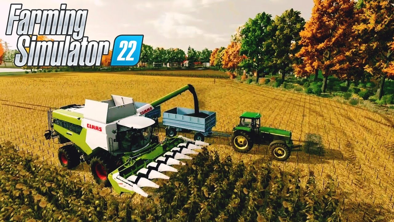Sunflower Harvesting ☀️☀️ (Napraforgó Aratás) [Farming Simulator 22 ...