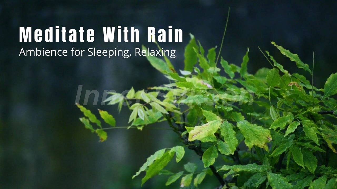 Rain Sounds for Deep Sleep, Meditation & Relaxation | Calm Rain ...